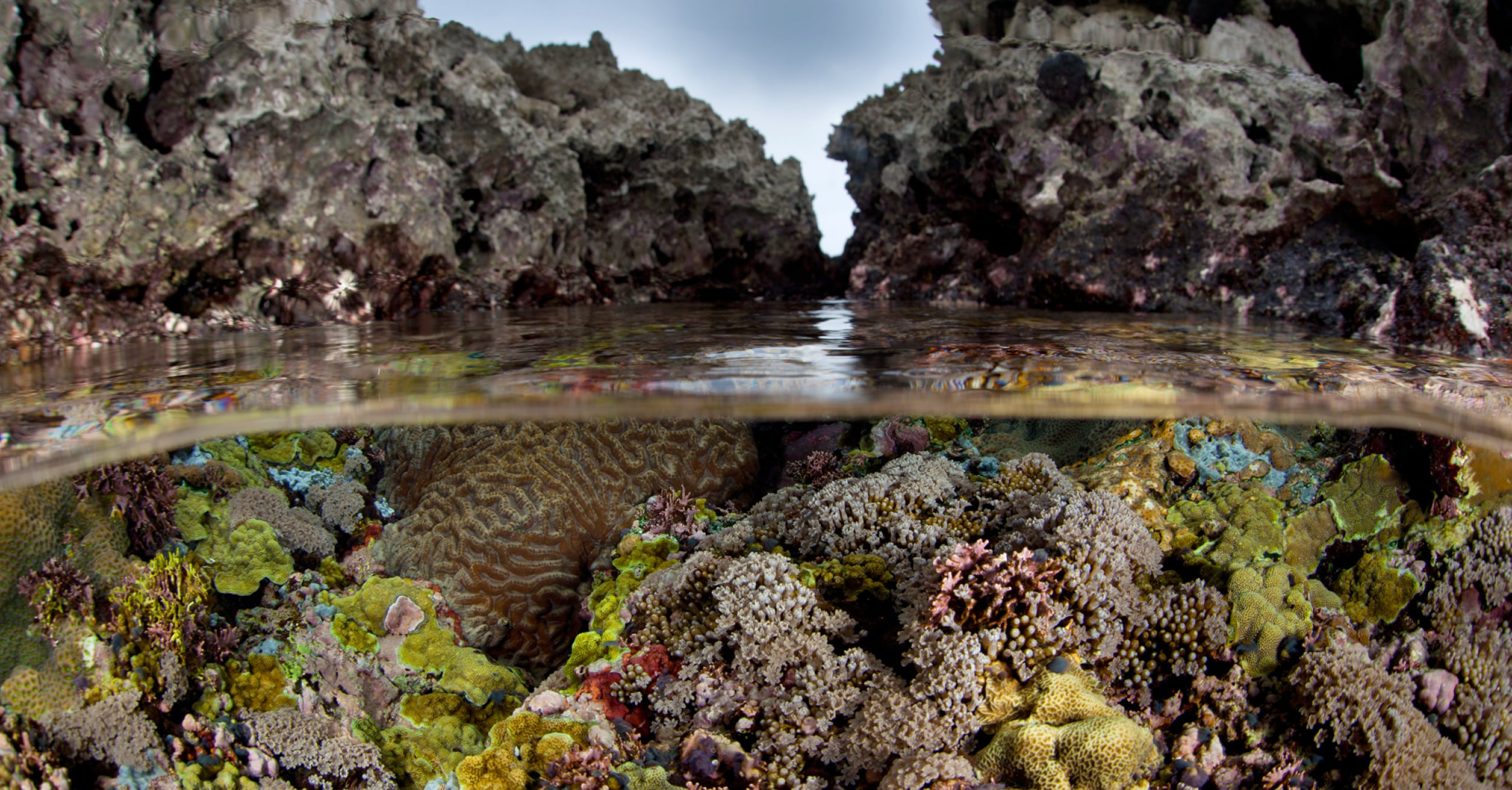 Q1 2023 Commentary - Tide Pools